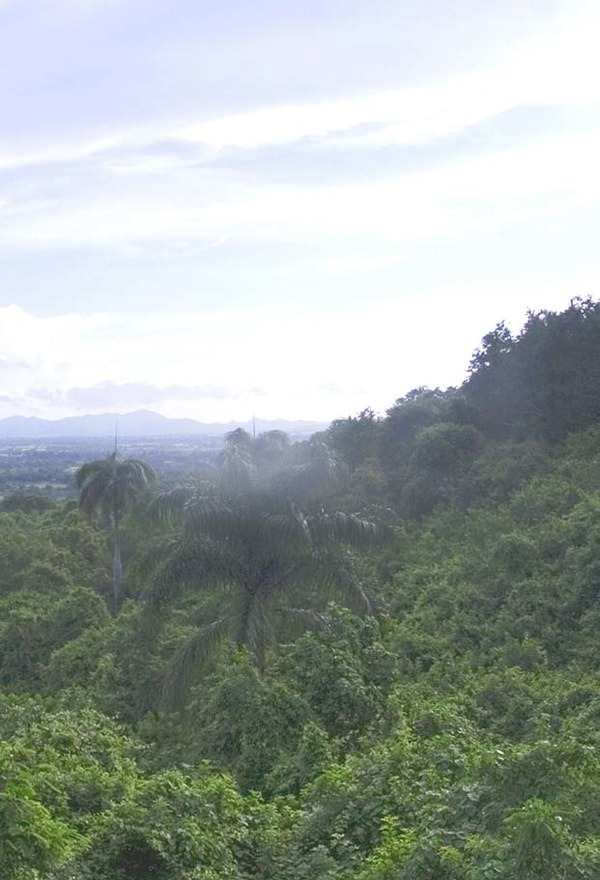 Reserva tus Vacaciones en el Hotel Mirador de Mayabe al mejor precio