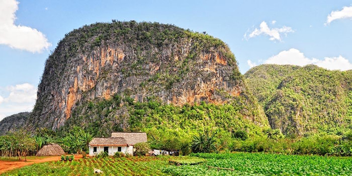 Book the best excursions in Cuba : Walk to the Aquatics - Hotelcuba.com